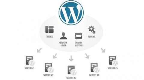 wordpress matomo - Bos Informatique